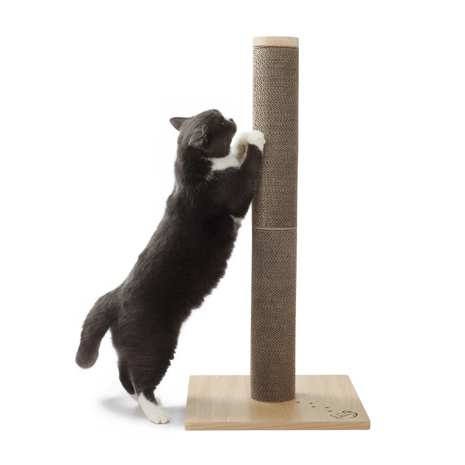 Minx Products – Minx Cat